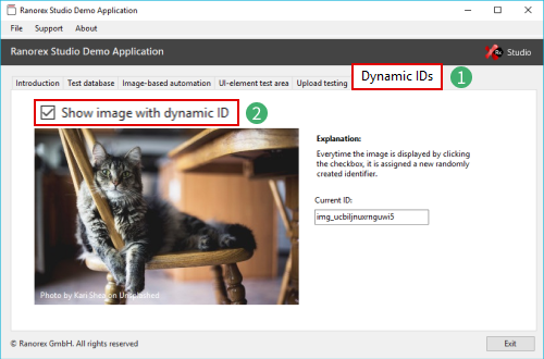 Weight rules and dynamic IDs – Ranorex