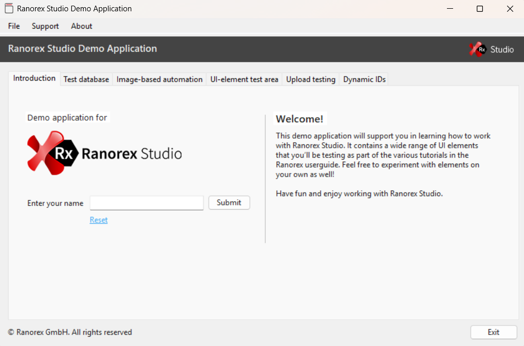 Before You Start Recording – Ranorex